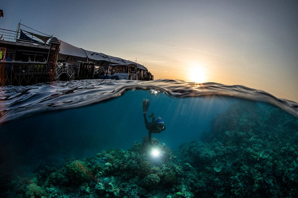 Reef Magic | Great Barrier Reef Tour | Snorkel & Diving