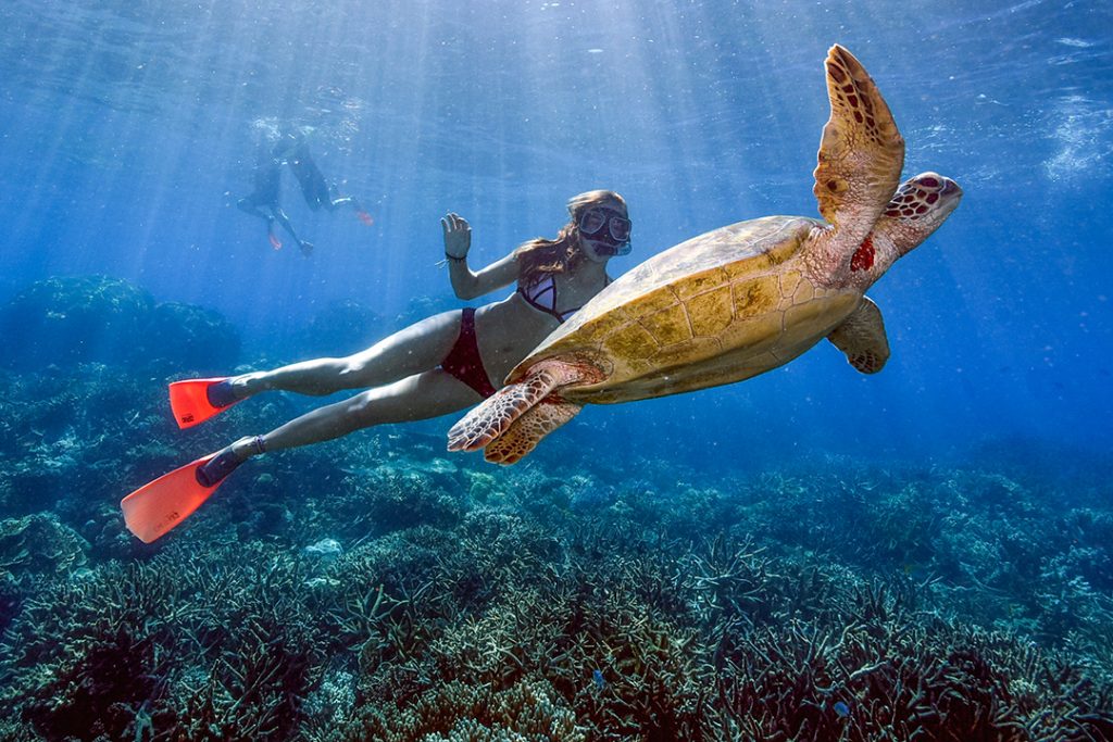 Reef Magic | Great Barrier Reef Tour | Snorkel & Diving