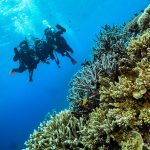 Scuba Diving | Cairns | Intro & Cert Diving | Reef Magic | New Pontoon