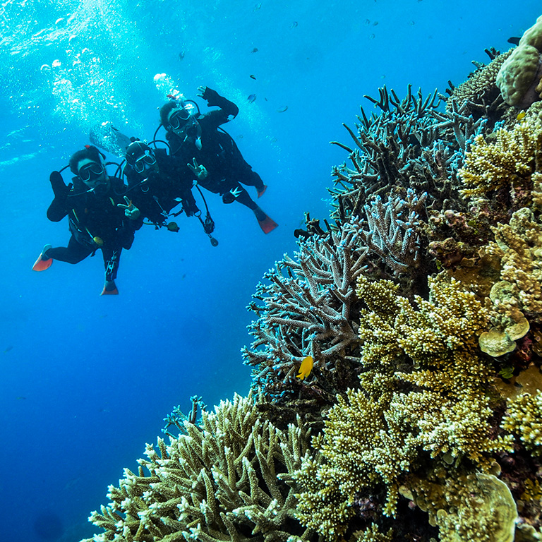 Scuba Diving | Cairns | Intro & Cert Diving | Reef Magic | New Pontoon