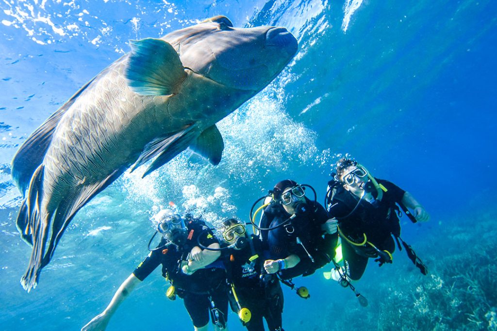 Scuba Diving | Cairns | Intro & Cert Diving | Reef Magic | New Pontoon