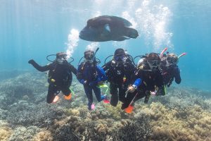 Scuba Diving | Cairns | Intro & Cert Diving | Reef Magic | New Pontoon