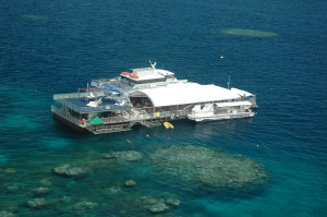 Cairns Reef Tour | Reef Magic | Day Tour Prices