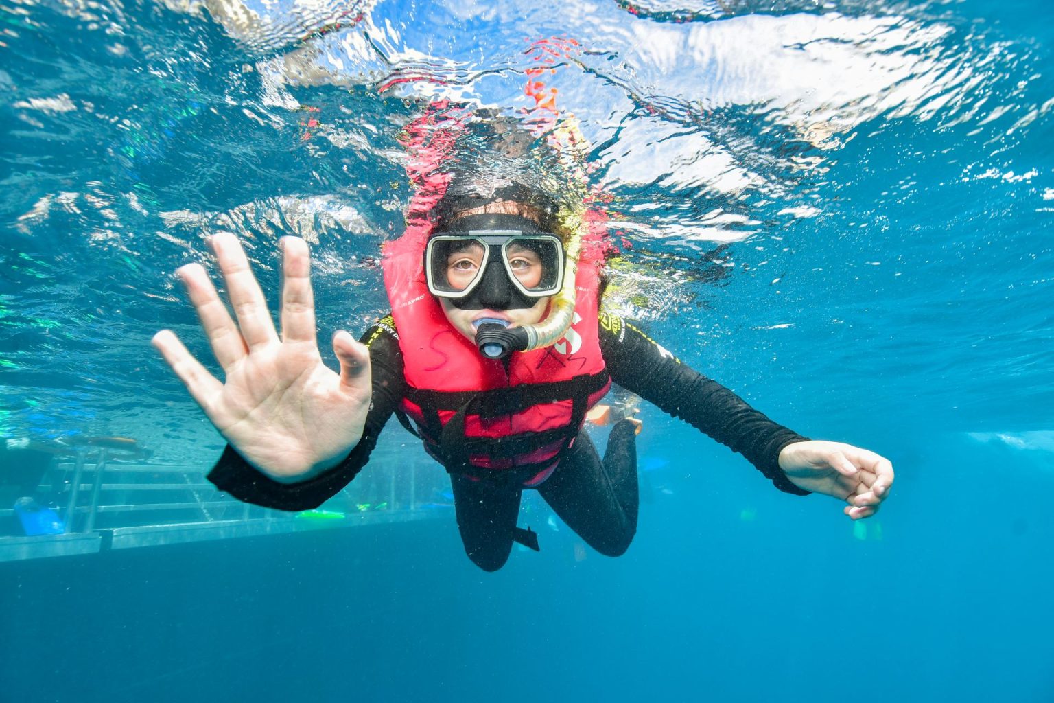 Reef Magic | Great Barrier Reef Tour | Snorkel & Diving