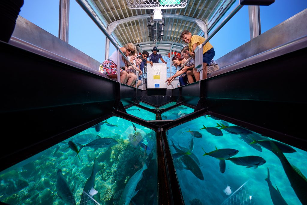 Cairns Reef Tour | Reef Magic | Day Tour Prices