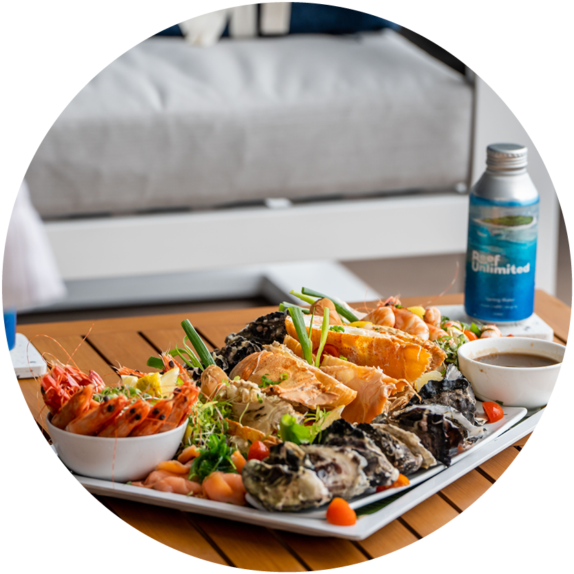 Premium Great Barrier Reef Experience | Reef Indulgence