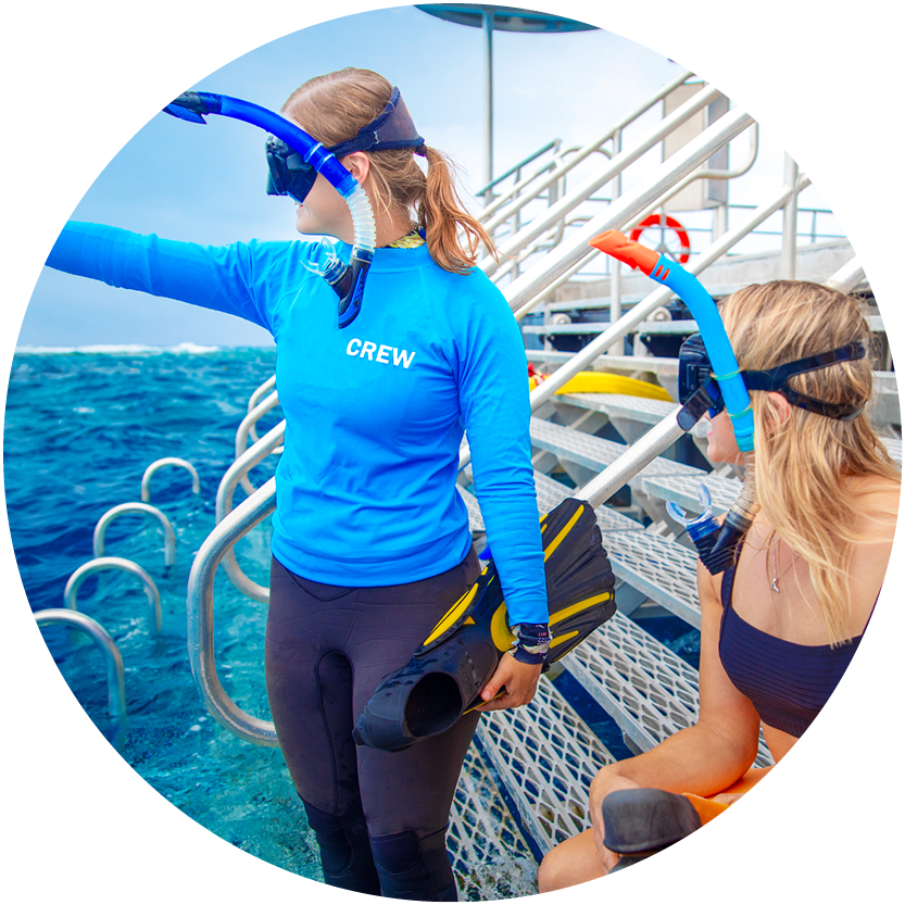 Premium Great Barrier Reef Experience | Reef Indulgence