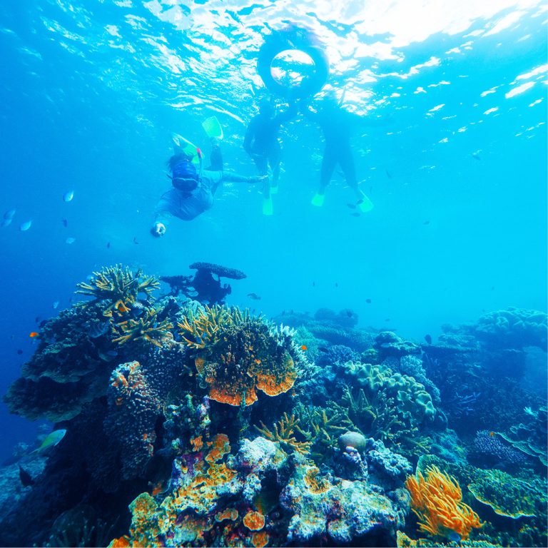 Luxury Great Barrier Reef Experience | Reef Opulence